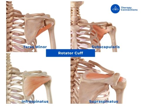 Massage for Rotator Cuff Recovery: Techniques to Ease Your Pain ...
